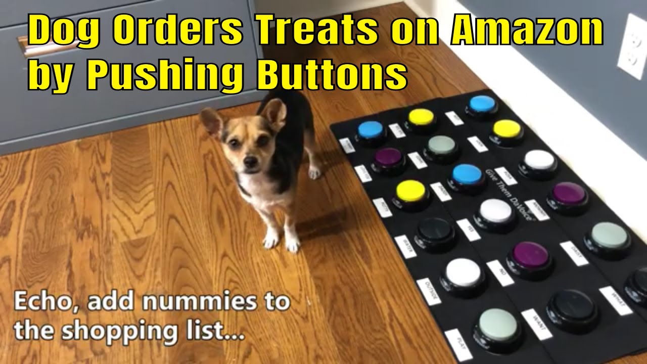 Dog Buttons Talk Funny Dog Orders Treats on Amazon by Pushing Buttons ...