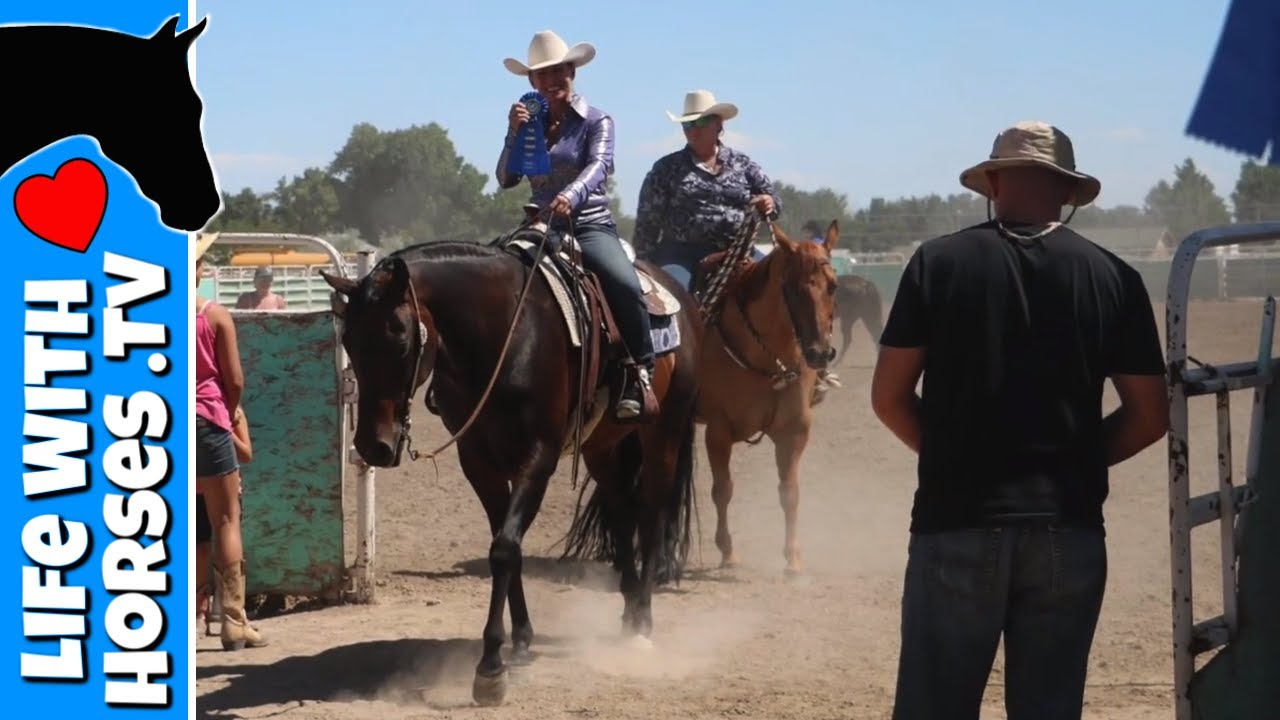 Western Riding Vlog- 1st Western Classes Together - YouTube