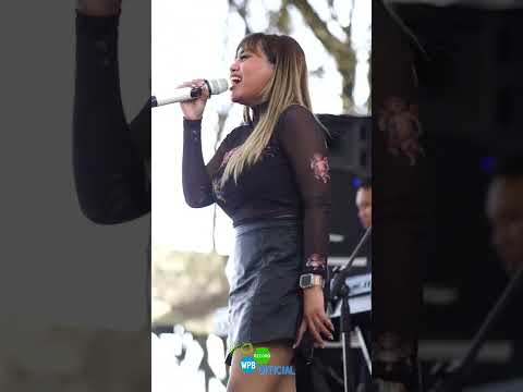 FETA FERNANDA COVER  GANG DOLY - OM DIMAS PRO