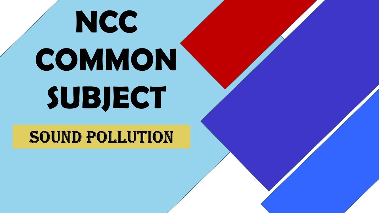 E4-P4-Sound Pollution - YouTube