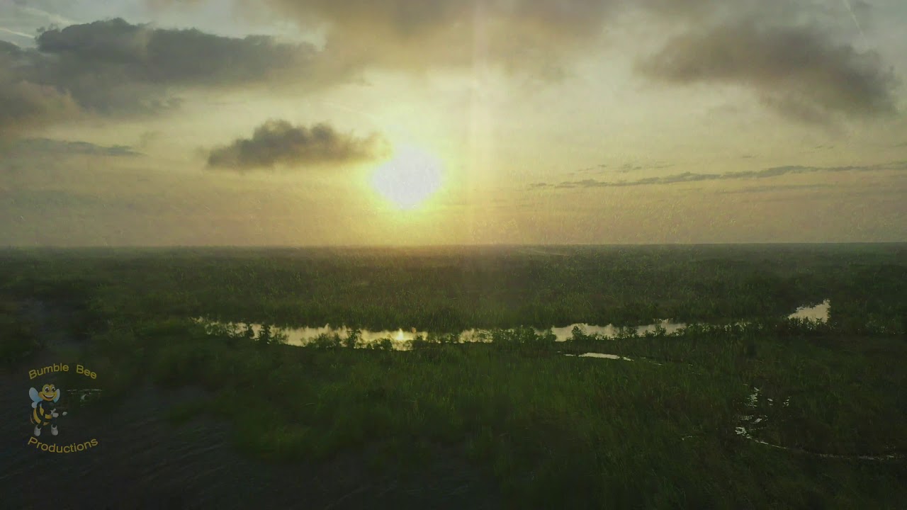 Bayou Segnette 4K - YouTube