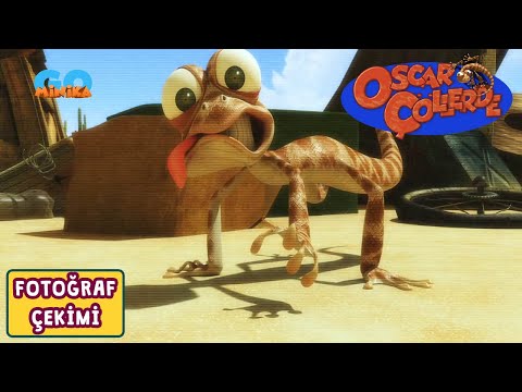 Oscar Çöllerde 🦎 | Fotoğraf Çekimi | Minika