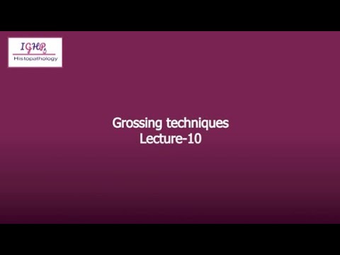 Lecture 10 Grossing Techniques - YouTube