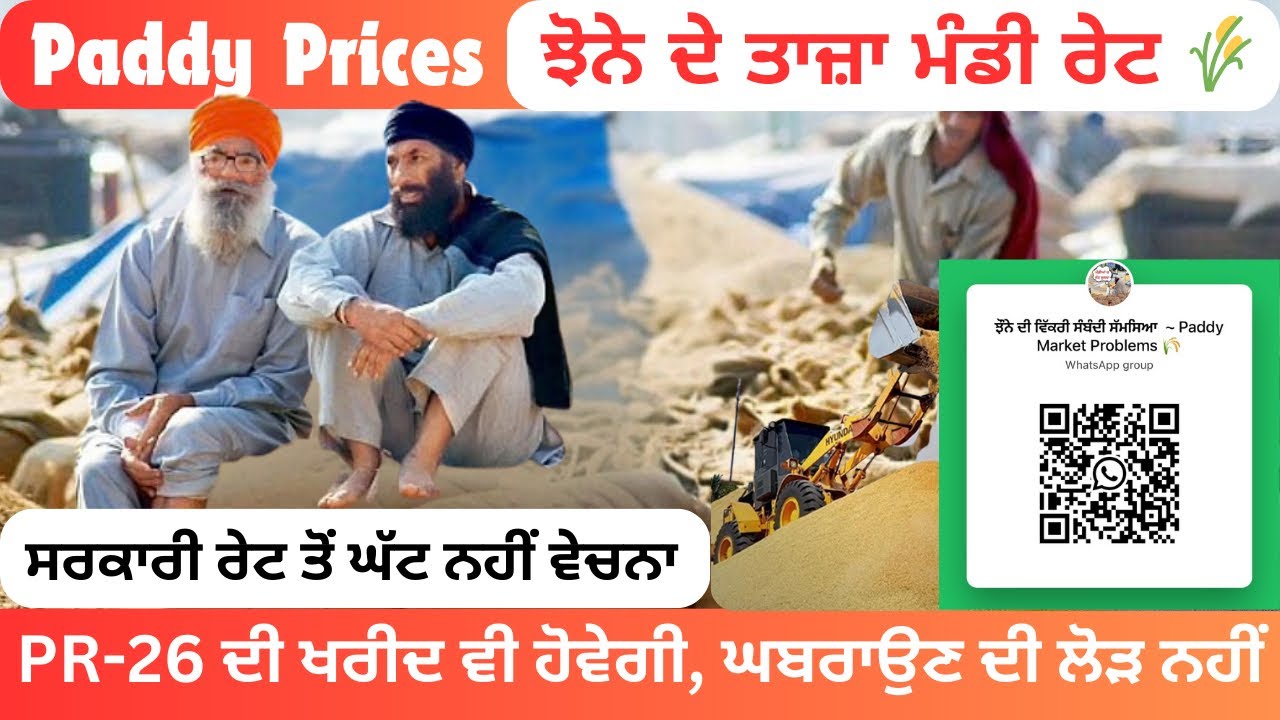 Paddy Prices |PR-26 ਦੀ ਖਰੀਦ ਵੀ ਹੋਵੇਗੀ,ਘਬਰਾਉਣ ਦੀ ਲੋੜ ਨਹੀਂ |ਸਰਕਾਰੀ ਰੇਟ ...