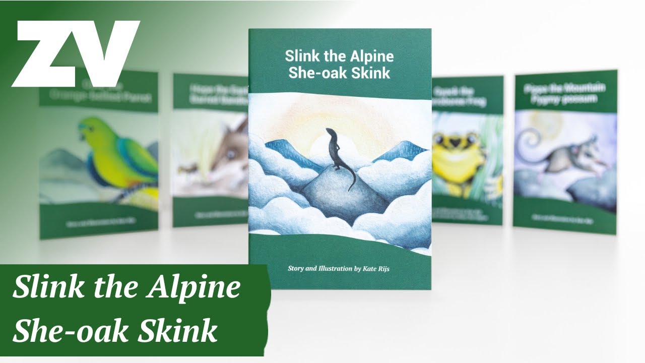 Storytime: Slink the Alpine She-oak Skink - YouTube