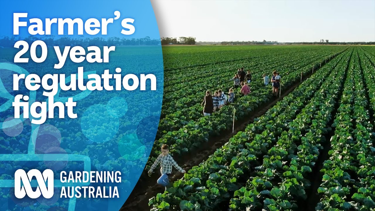 Spud King Tony Galati's fight against farming restrictions | My Garden ...