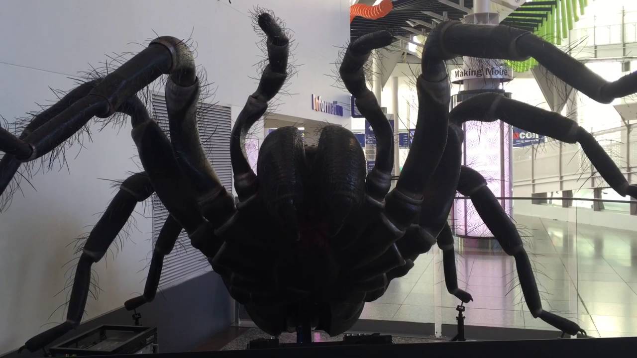 Robot spider - press play if you dare! - YouTube