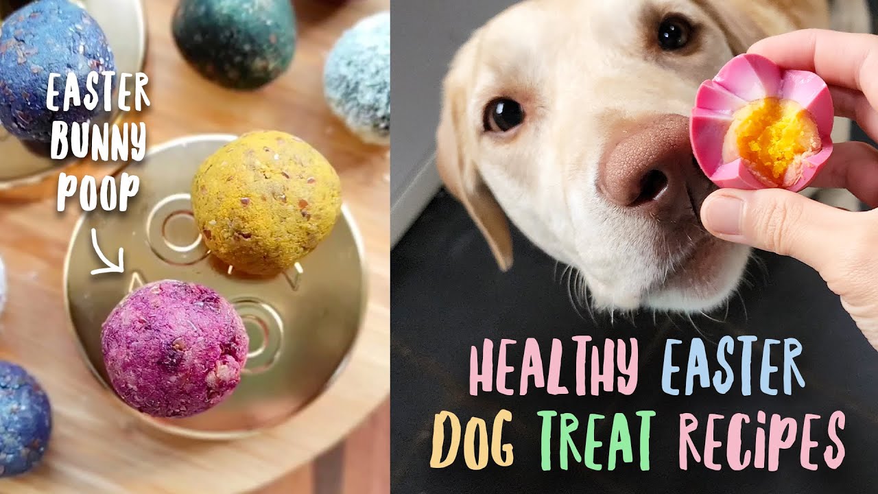🐶 Healthy & Yummy Easter Dog Treat Recipes 🐰🥚 Bowie's Favourites! - YouTube