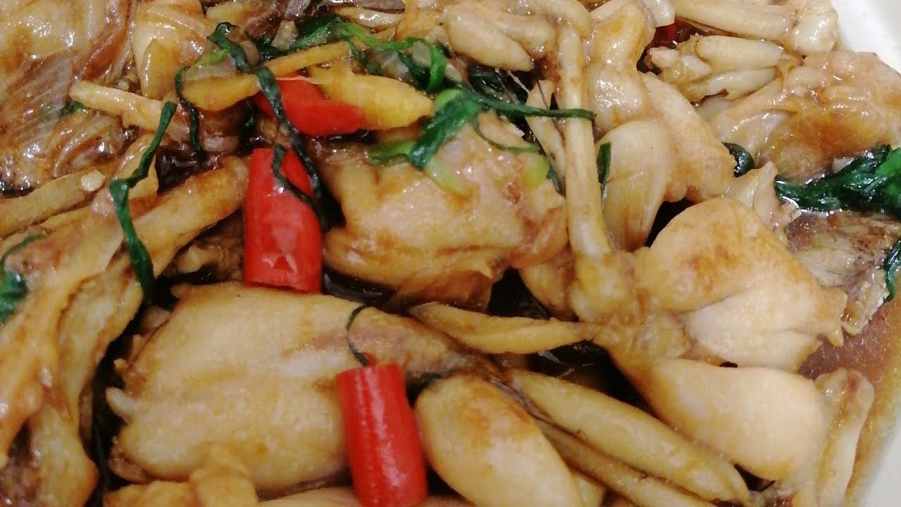 How to Cook Frog Chinese Style /yummylicious /3s&Mom tv - YouTube
