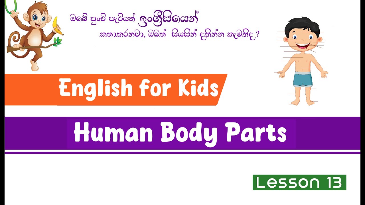 Human Body Parts Lesson 13 YouTube human-body-parts-lesson-13-youtube