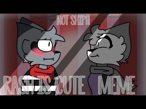 Rash is cute!? meme (piggy ft. rash and Willow) [lazy] (Flipaclip)
