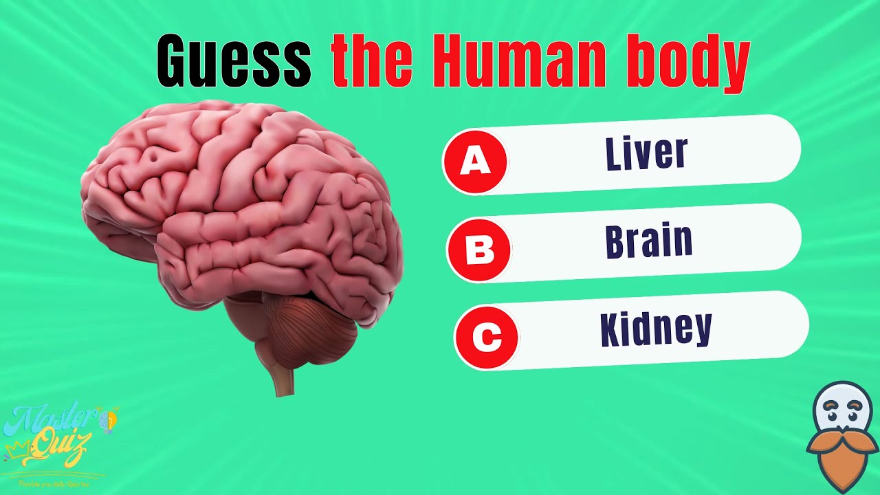 How Many Human Body do You know ? 🧠🦴🦵 | General Knowledge test - YouTube