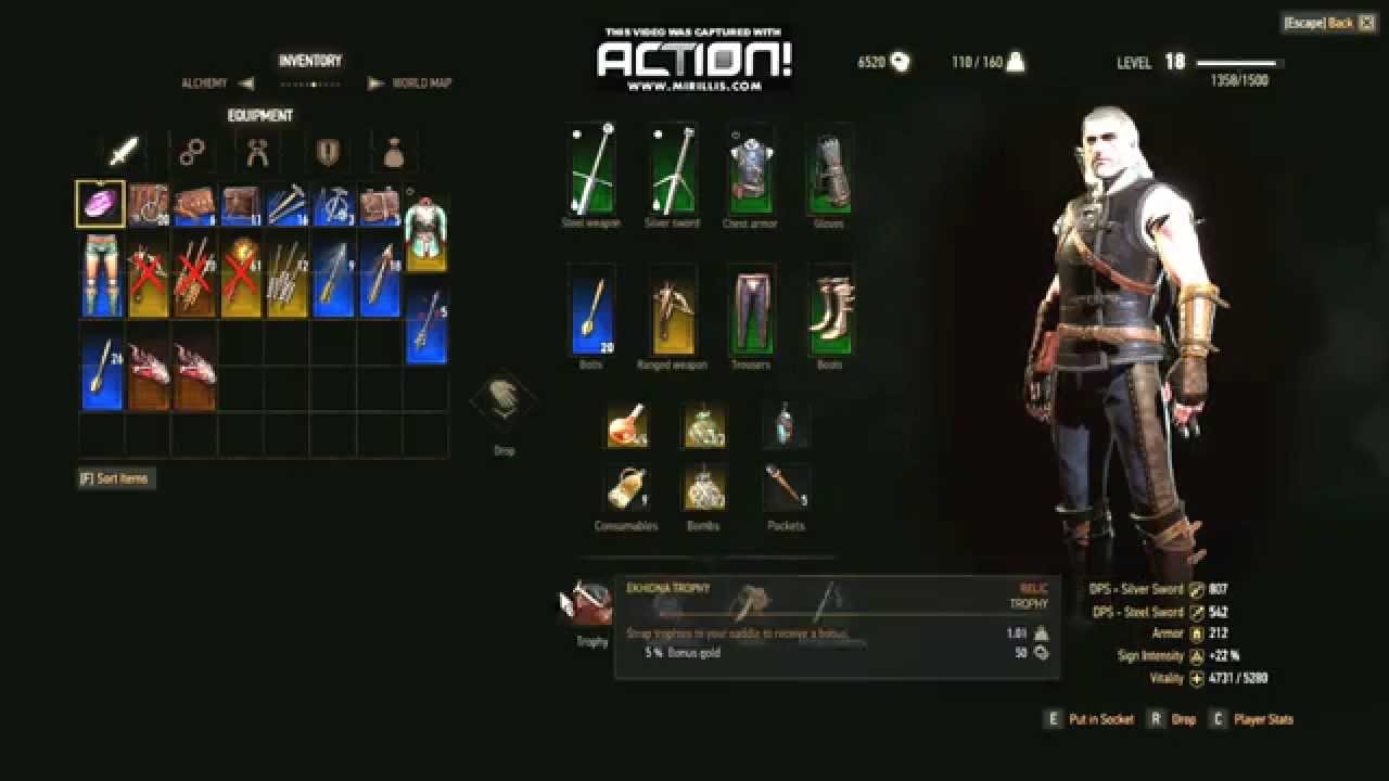 The Witcher 3: Fighting a Fire Elemental and My Ability Point Spread ...