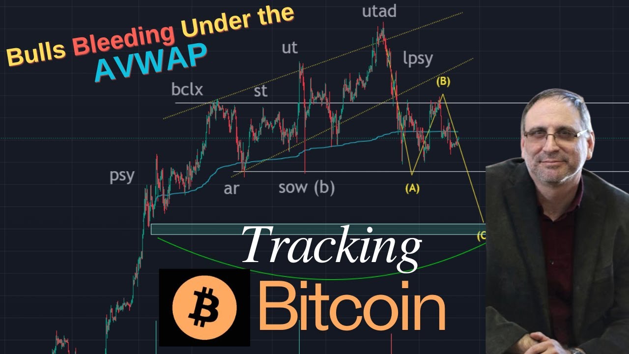 Tracking Bitcoin: Bulls Bleeding Under the VWAP #btc #bitcoin - YouTube