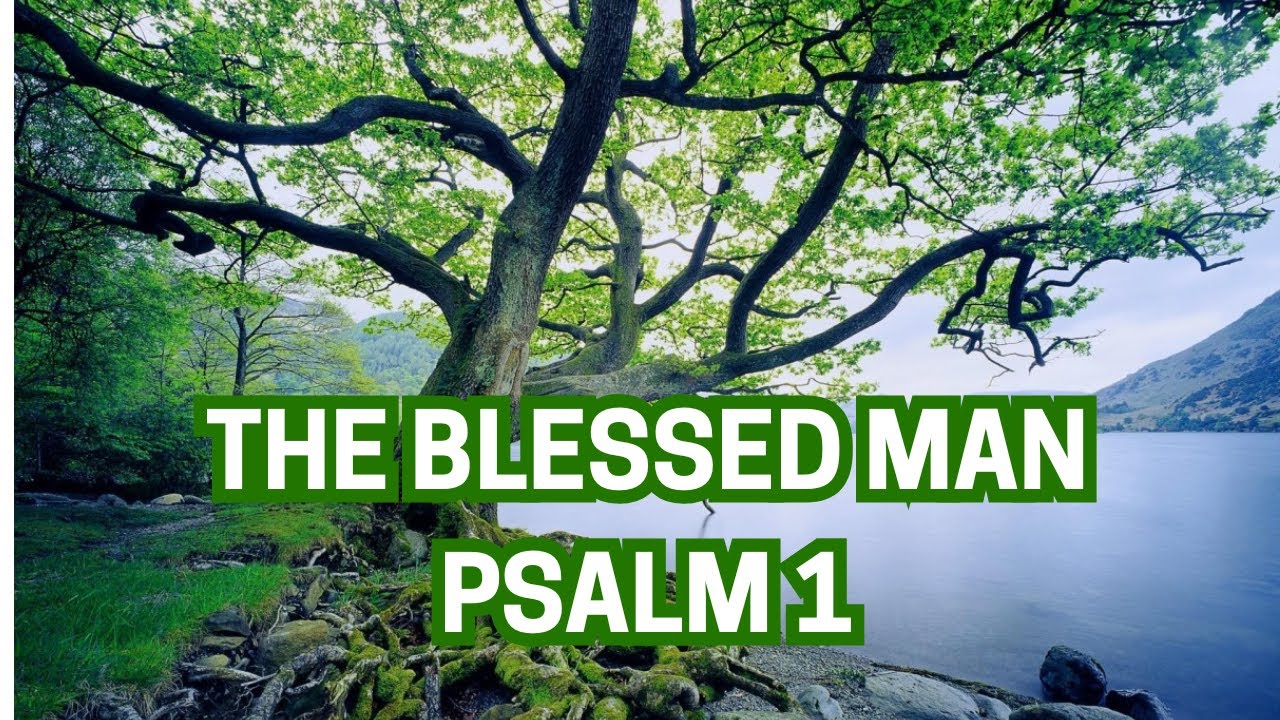 The Blessed Man: Why The First Psalm Really Matters! - YouTube