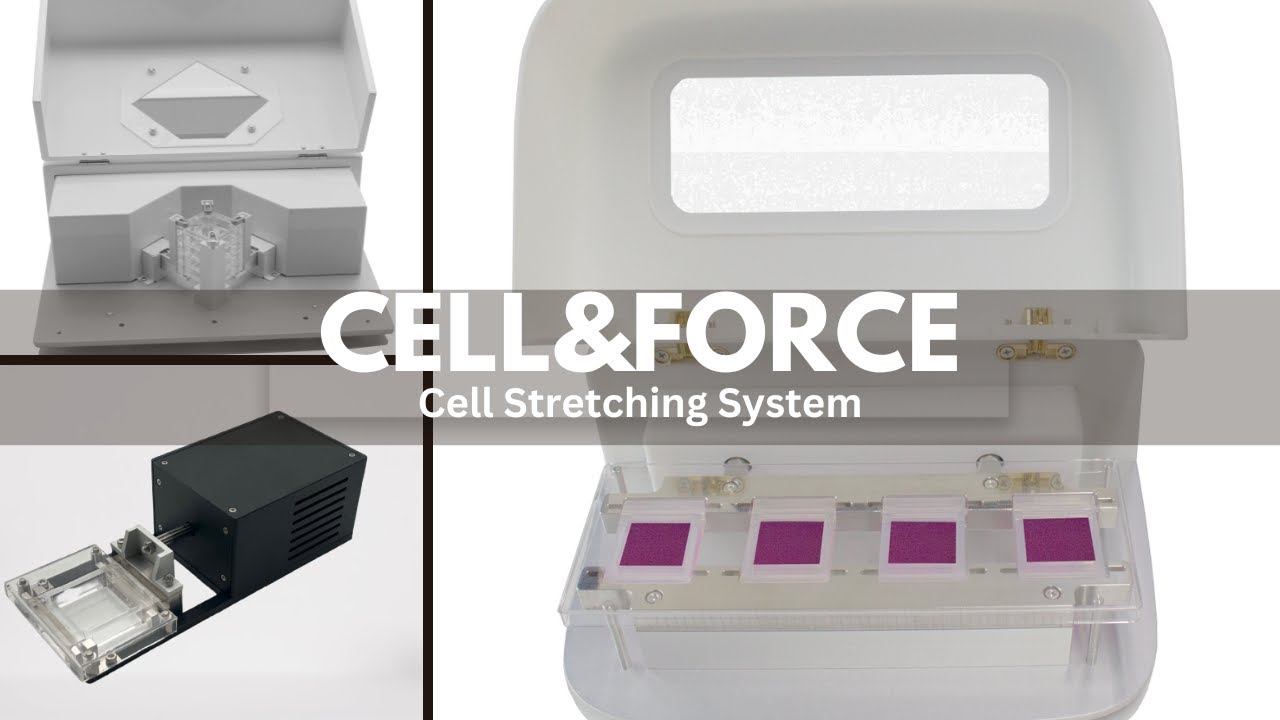 Cell&Force Cell Stretching System #cell_biology #cell_biology_and ...