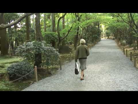 [8K] Old HDV video \