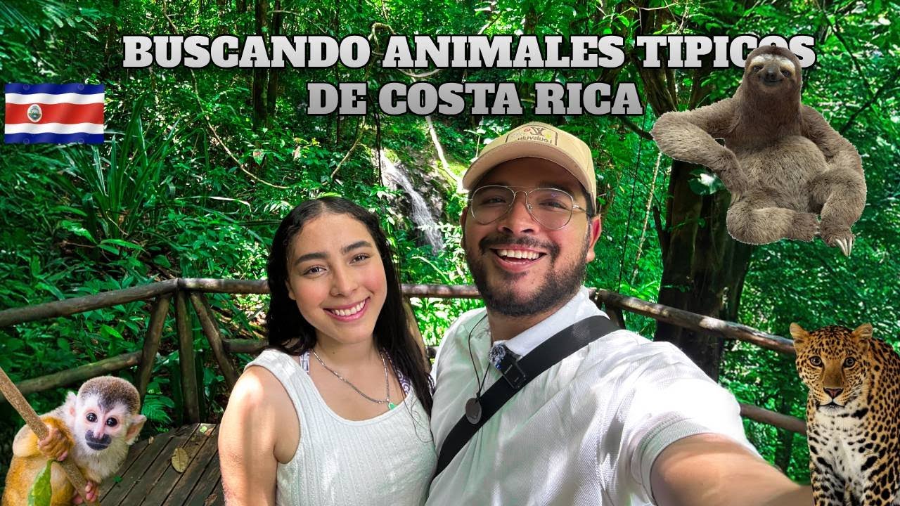 ¡En Busca de los Animales Típicos de Costa Rica! 🐆🦜. Una Sorpresa en el ...