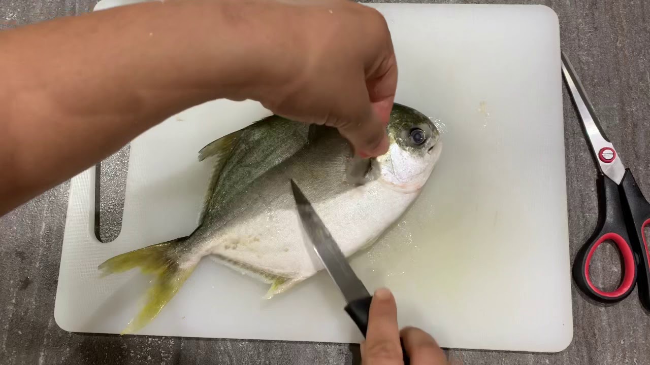 How to prepare roopchada fish | maas khata - YouTube