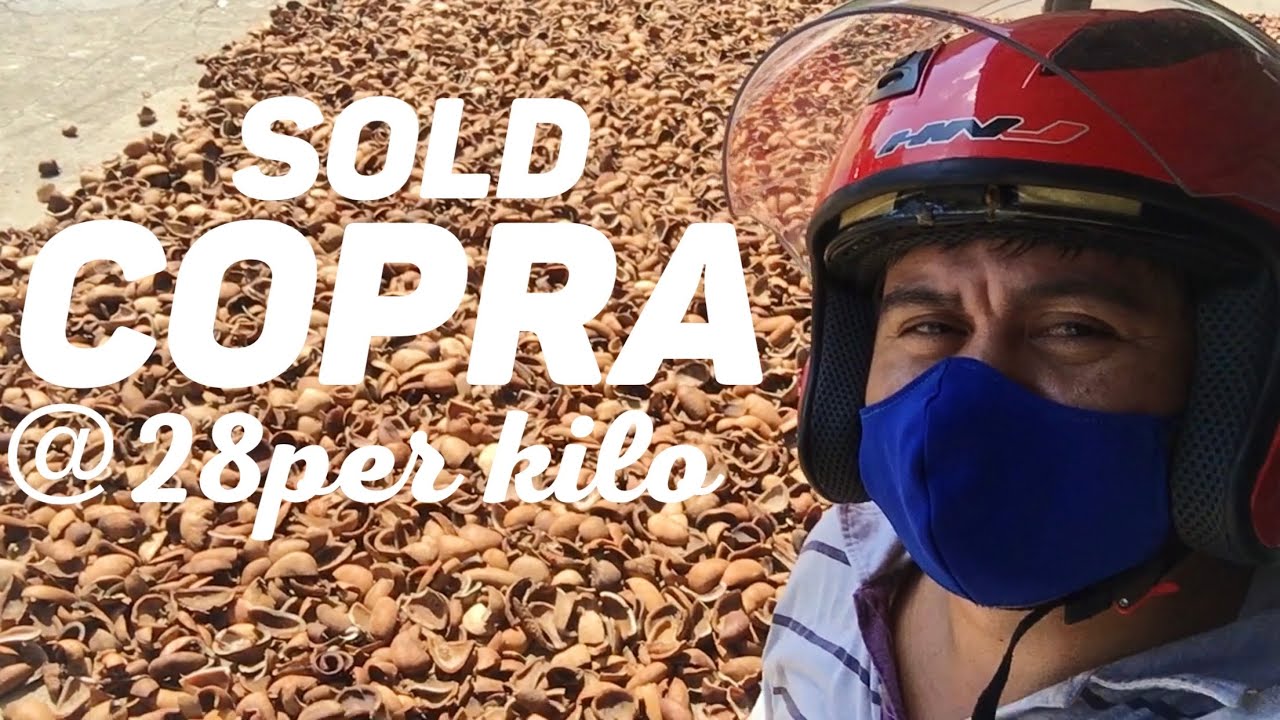 OMG! So, Cheap The Price Of Copra in the Philippines now | #copra - YouTube