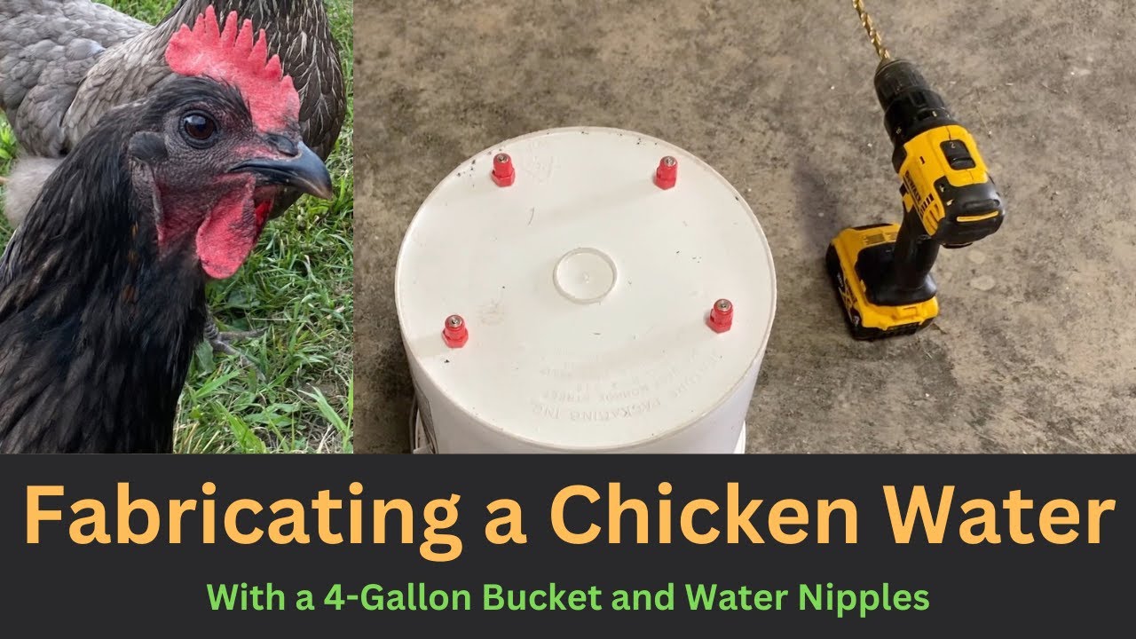 Fabricating A Chicken Waterer with Water Nipples - YouTube