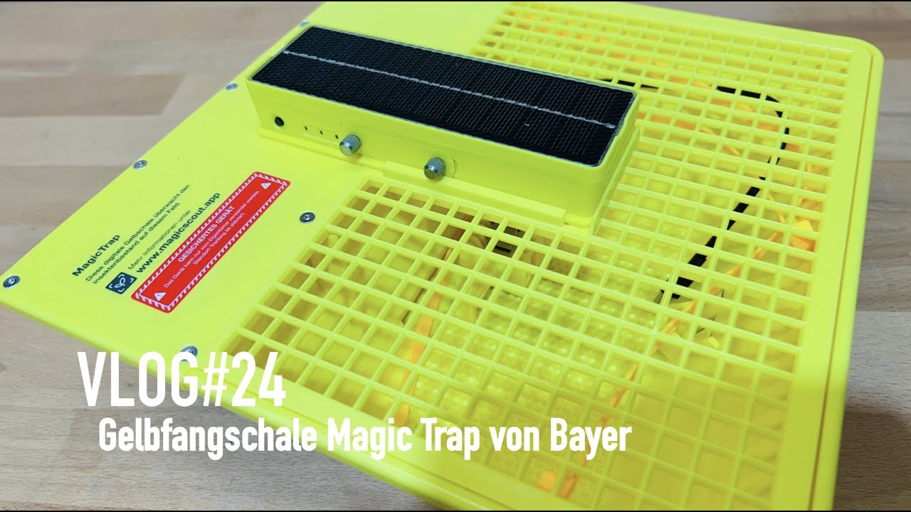 VLOG#24 Gelbfangschale Magic Trap von Bayer!!! - YouTube
