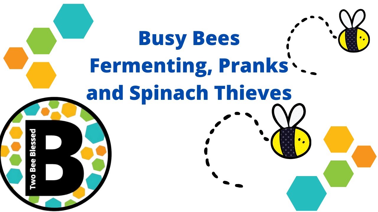 Episode 4: Busy Bees Fermenting, Pranks, and Spinach Thieves - YouTube