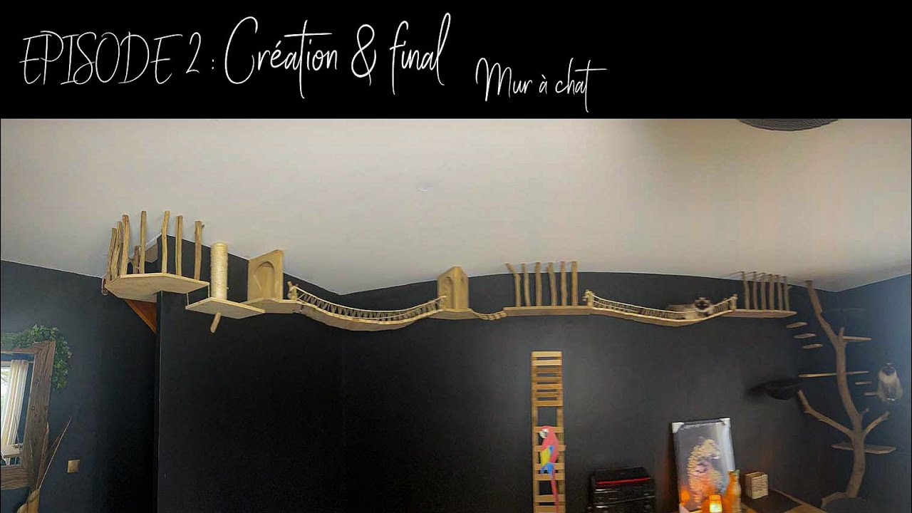 Episode 2 -SUITE & FINALE Mur pour chats artisanal - YouTube