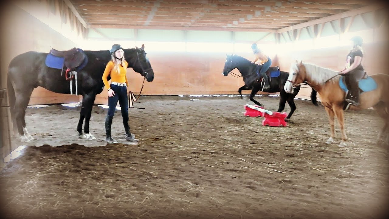 JUMPING FINN AT OUR BARN! A DIFFERENT SIDE OF US! Day 124 (05/04/19 ...