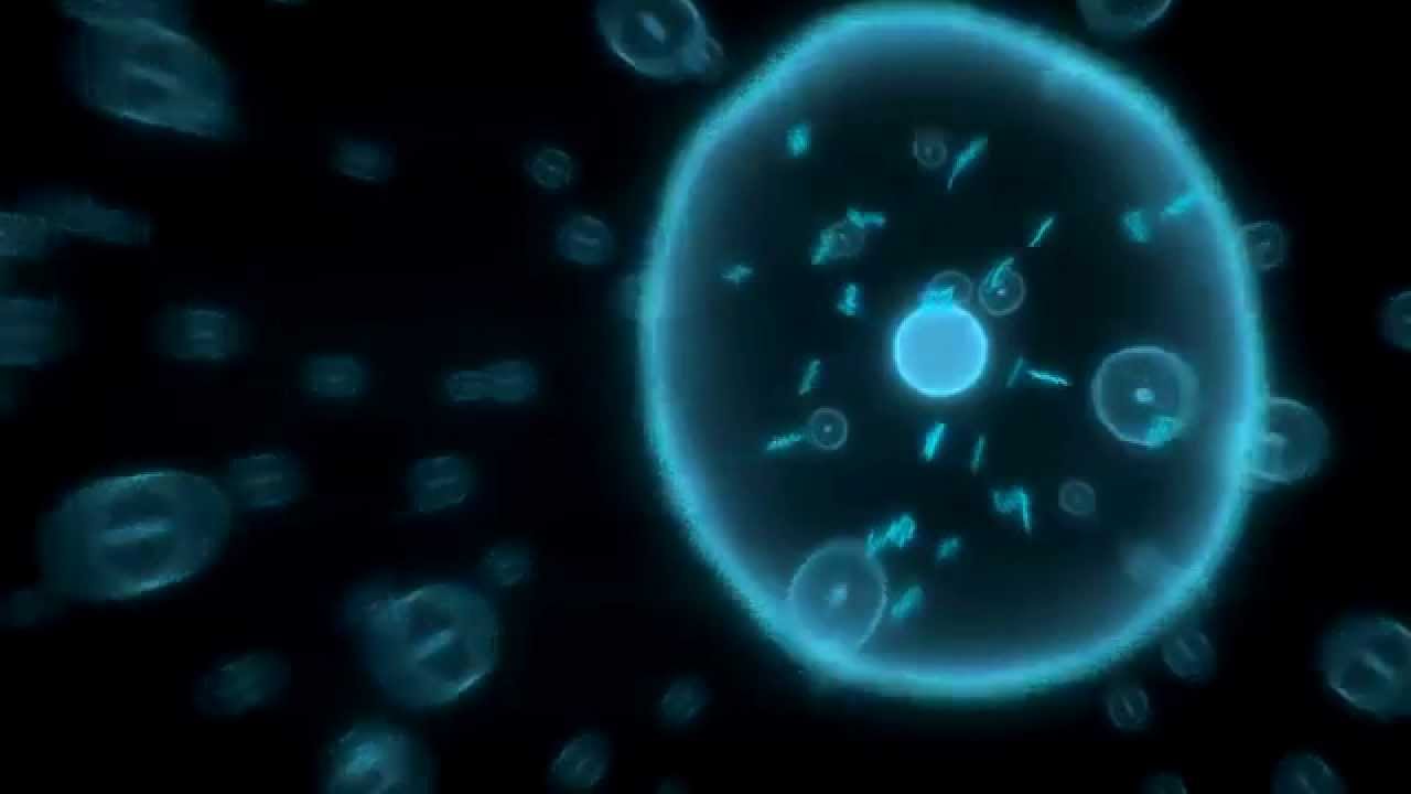 Cells Animation motion graphic created for the Jordan Walker Group ...
