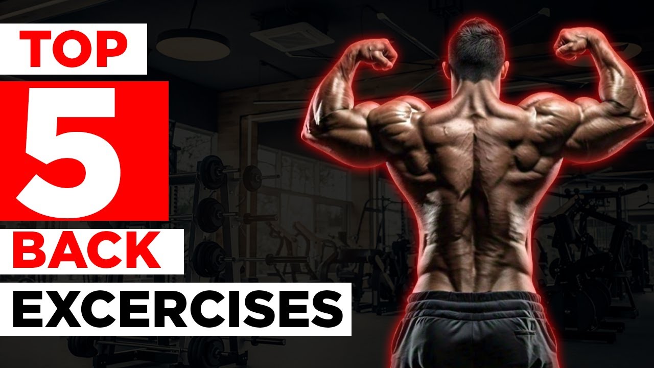 Top 5 back exercises YOU NEED TO KNOW ! - YouTube
