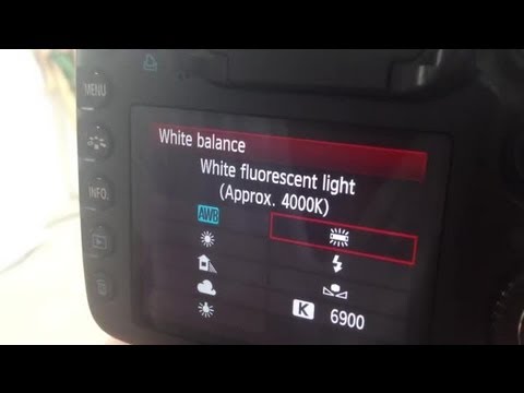 How to Take Color Pictures Under Fluorescent Light : Photography ...