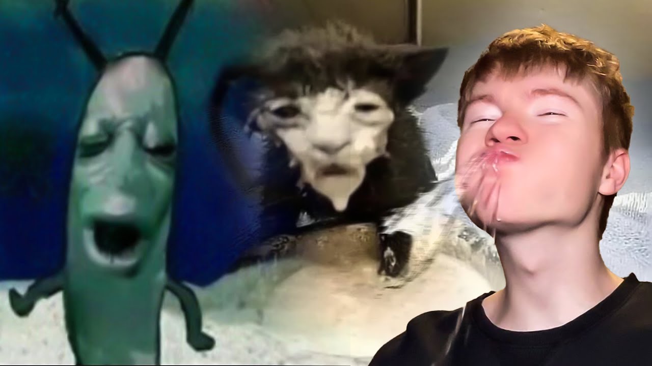 TRY NOT TO LAUGH CHALLENGE Compilation🤣 Part 5 - YouTube