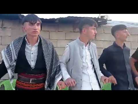 nispasi aşireti düğünleri van