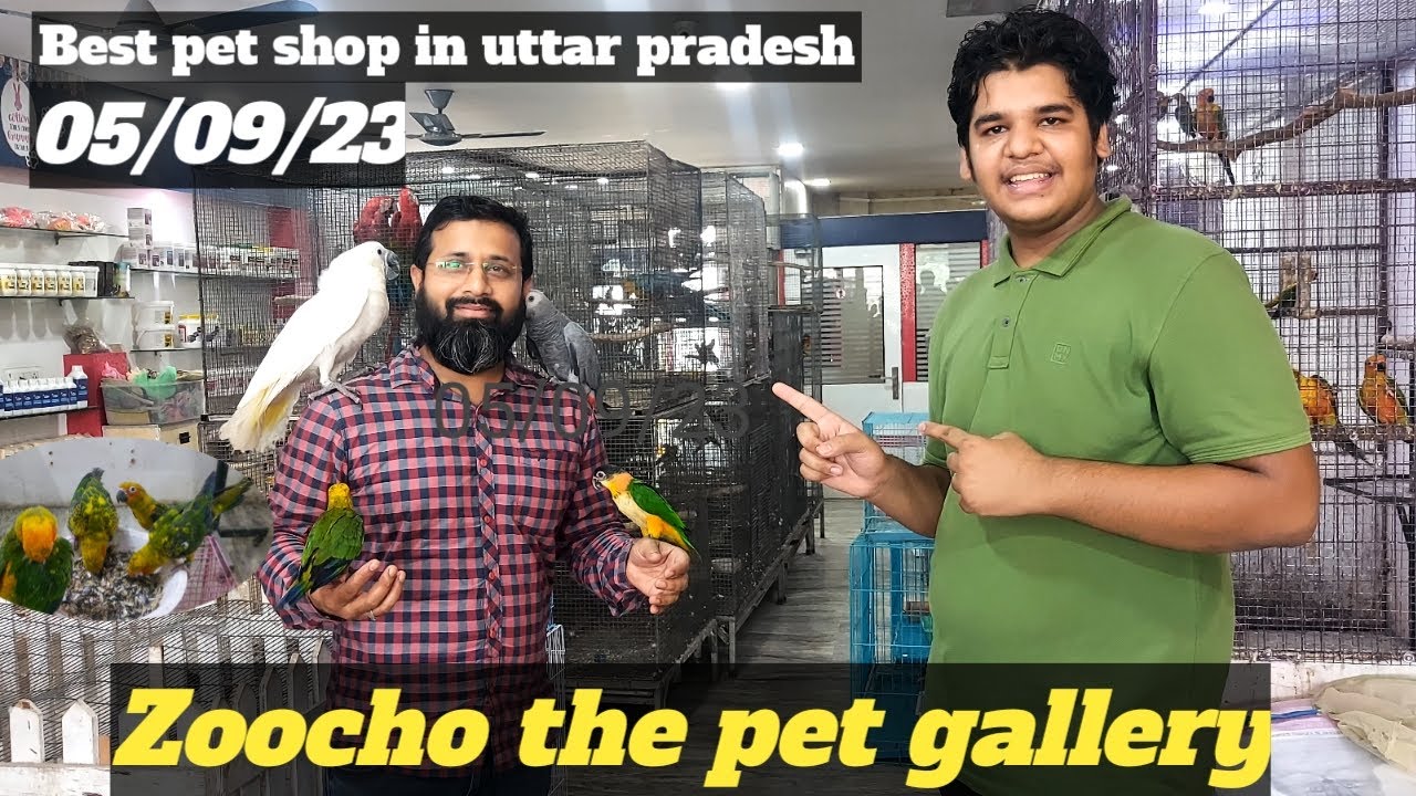 Visit Biggest Pet Shop In Lucknow Zoocho The Pet Gallery visit-biggest-pet-shop-in-lucknow-zoocho-the-pet-gallery
