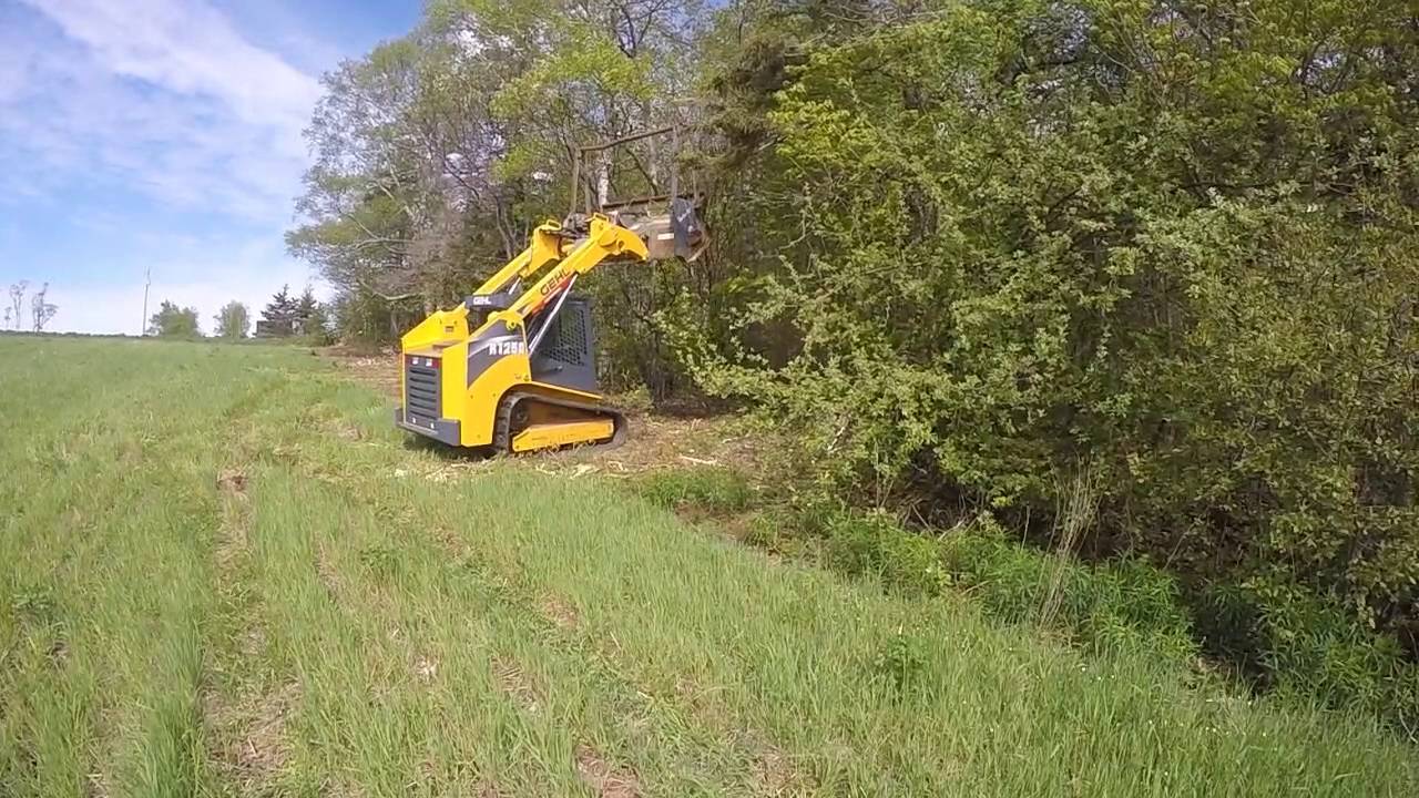 GEHL RT250 skidsteer with loftness timber ax - YouTube