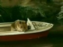 hamster fishing - YouTube