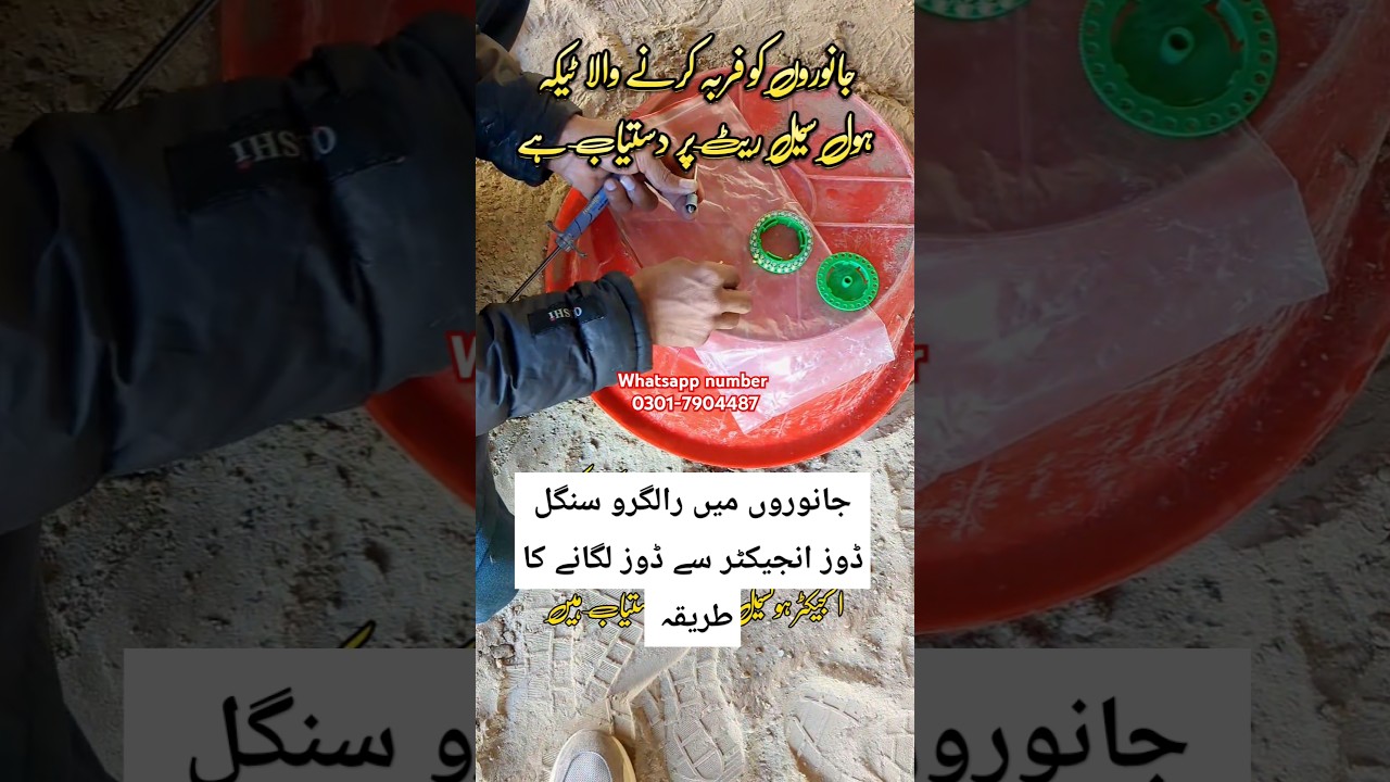 Ralgro implant || Ralgro Singal dose injector || Ralgro Zeeranole lgany ...