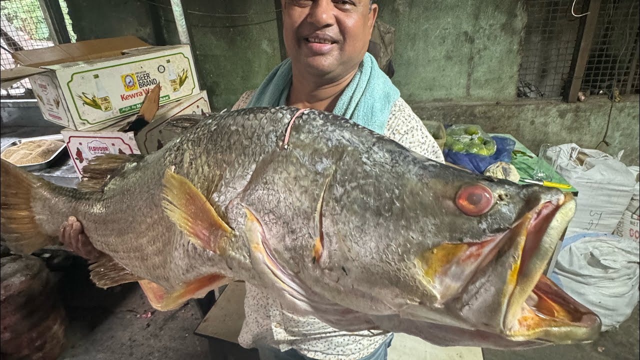 Vetki Fish Chakdaha AkantaApan Resturunt ..! AkantaApan Vetki Fish ...