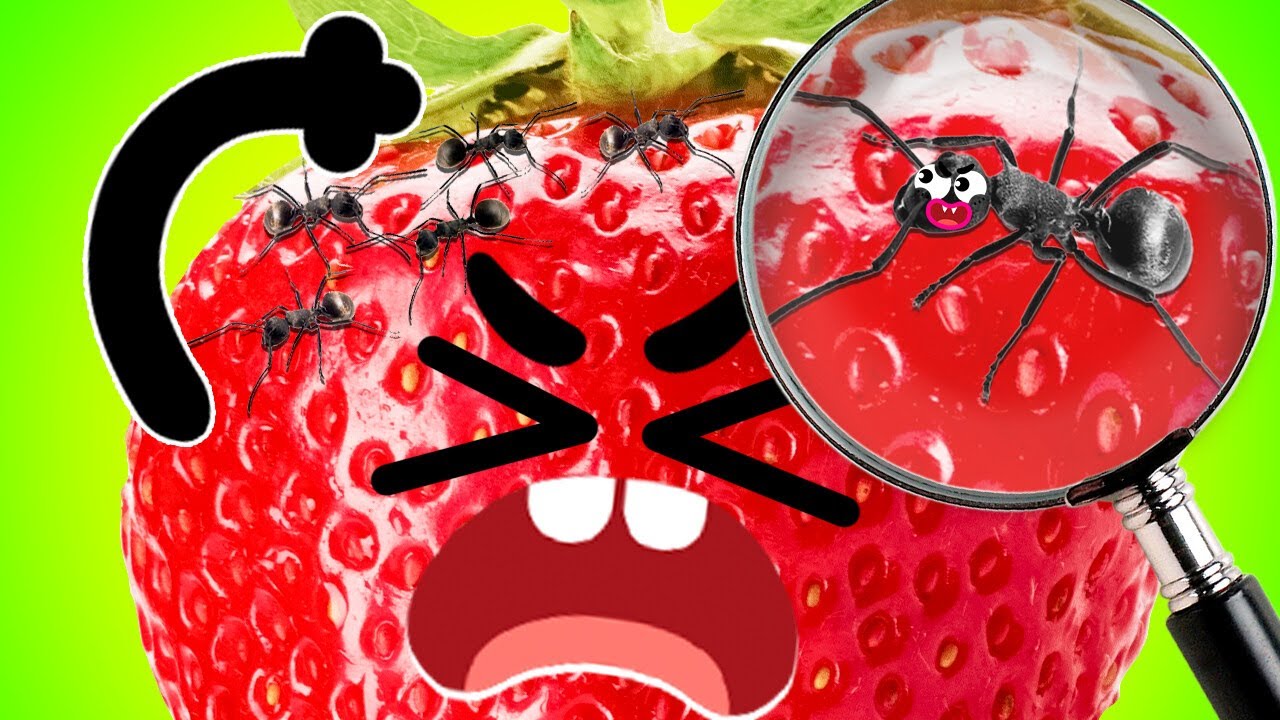 How To Be A Doodle || Cool Stories From The Life Of Talkative Objects ...