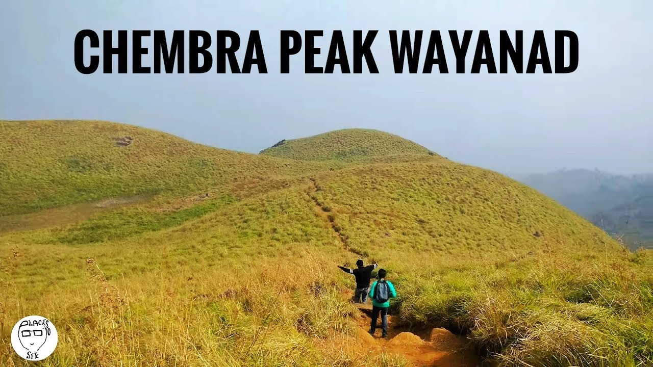 Chembra Peak Trekking