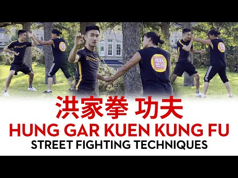 Hung Gar Kuen Kung Fu Street Fighting Techniques 洪家拳功夫技術