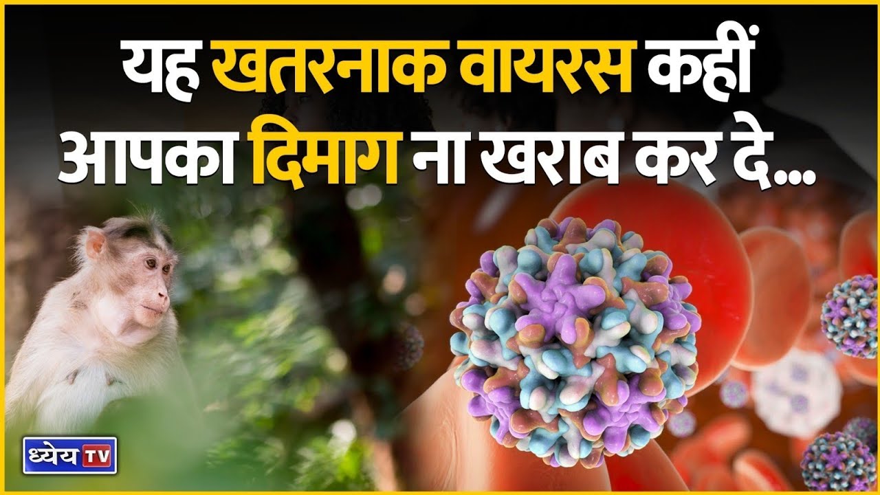 News This Hour: Hong Kong’s first monkey virus case, what do we know ...