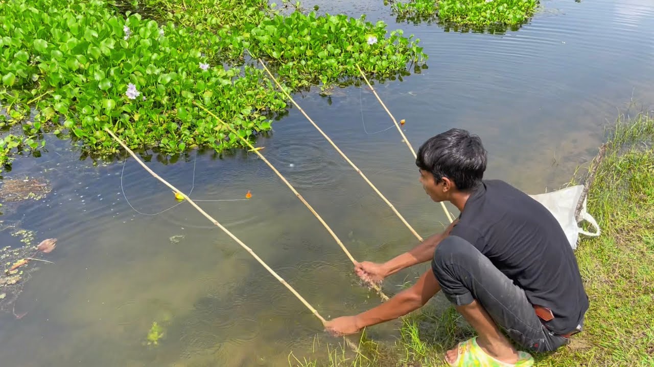 Amazing Boy Catching Fish By Hook | Traditional Village River Fishing ...