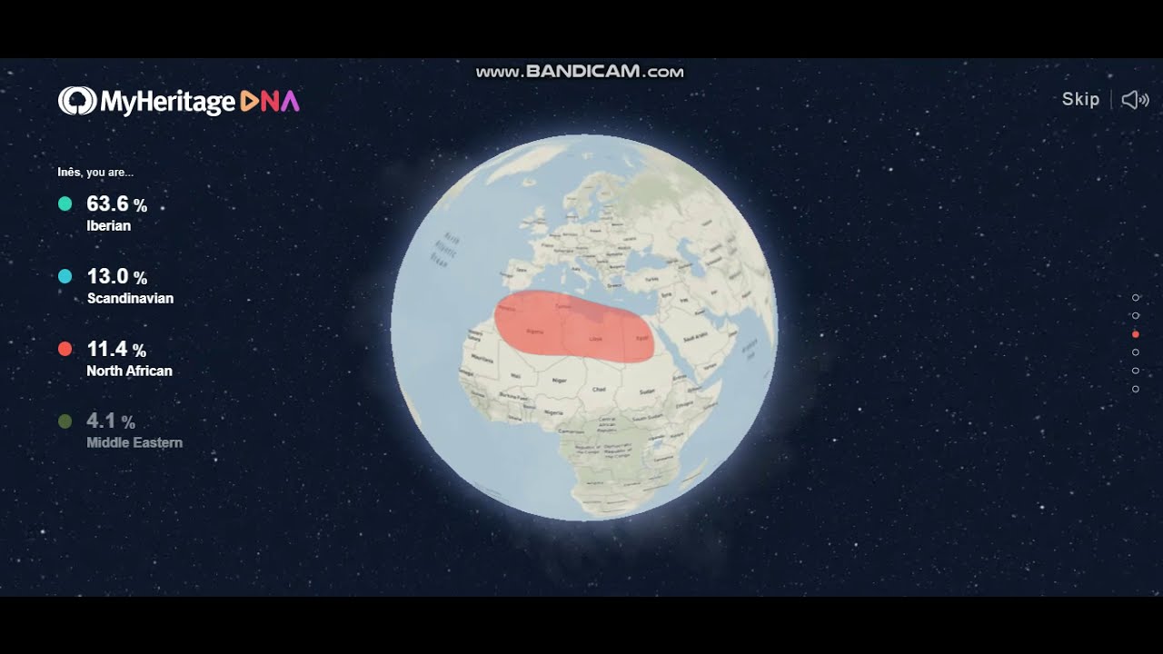 MyHeritage DNA - Portuguese from Portugal - YouTube