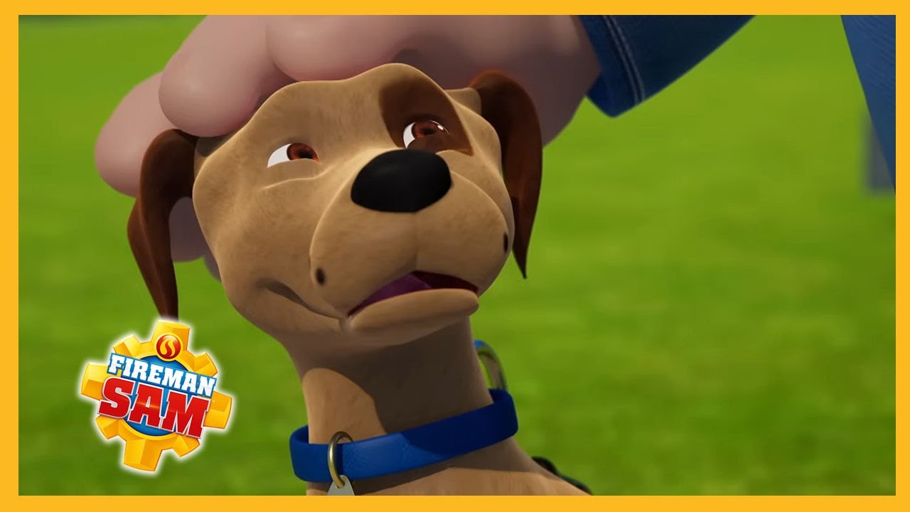 Who's a good boy? 🔥 Fireman Sam dog episode and compilation 🔥 - YouTube