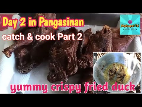 Pritong bibe | How to cook crispy fried duck | backyard cooking # ...