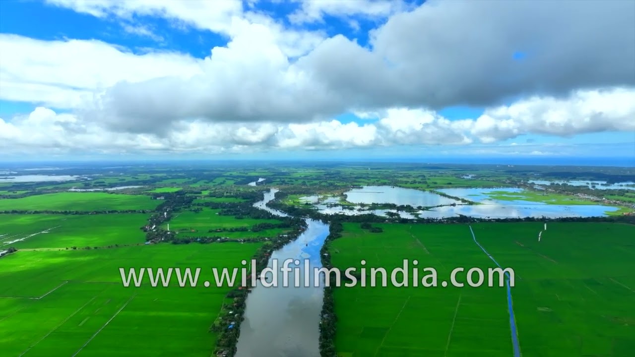 Alappuzha aerial view shows us why Kerala is God's Own Country: monsoon ...