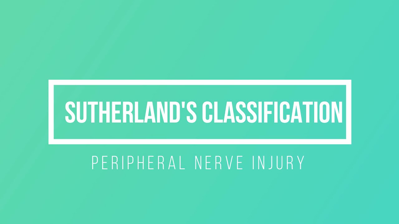 Peripheral Nerve Injury - Anatomy - Sutherland Classification ...