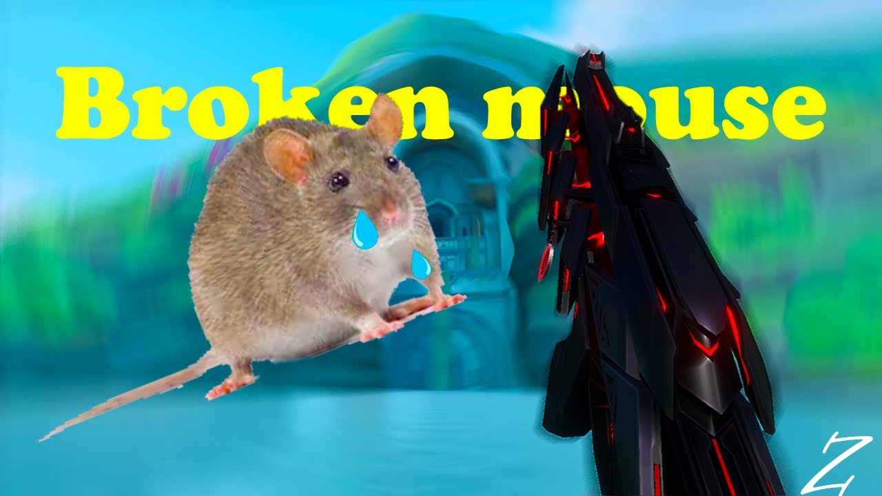 A NORMAL day with a BROKEN mouse🐁 - YouTube